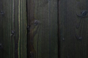 The color of burnt wood - Dark Green | Reburnent Pro